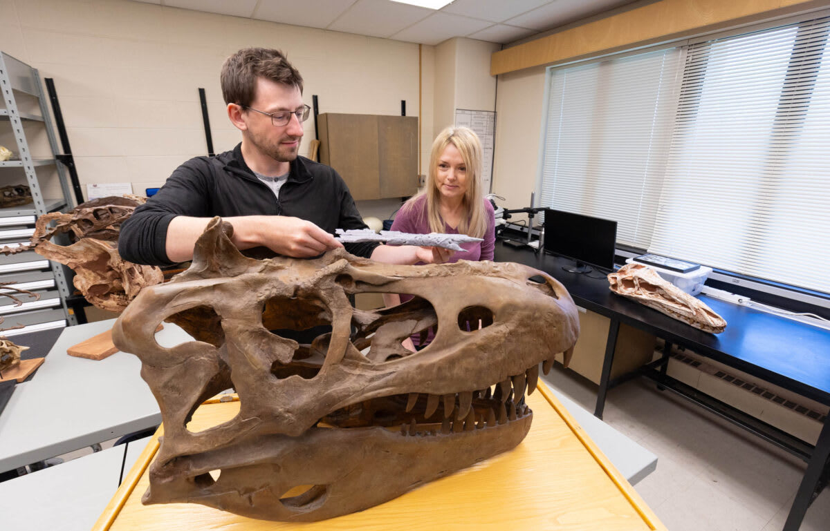 Meet The ‘Prince of Dragons’: The Dino Who Shaped the T. rex Legacy and ...