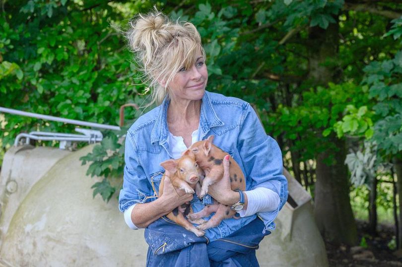 Jeremy Clarkson 'tearing his hair out' as he takes on ambitious project