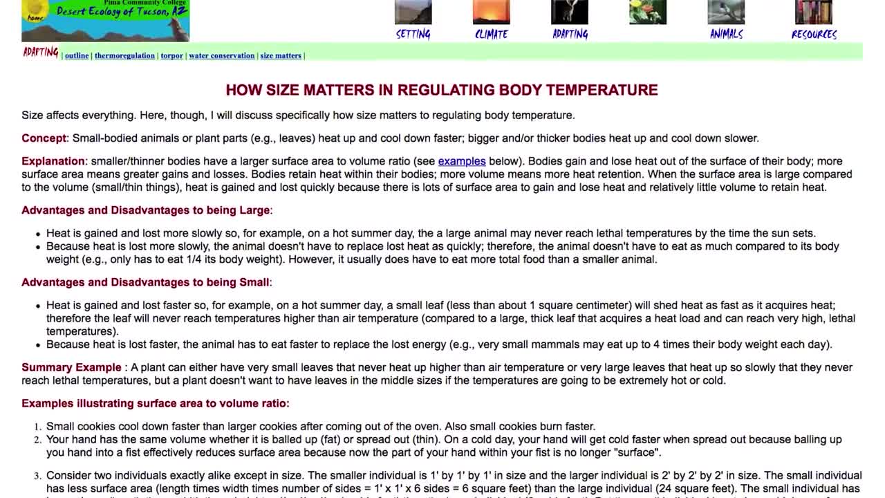 The Real Reason Why Women Are Always Colder Than Men