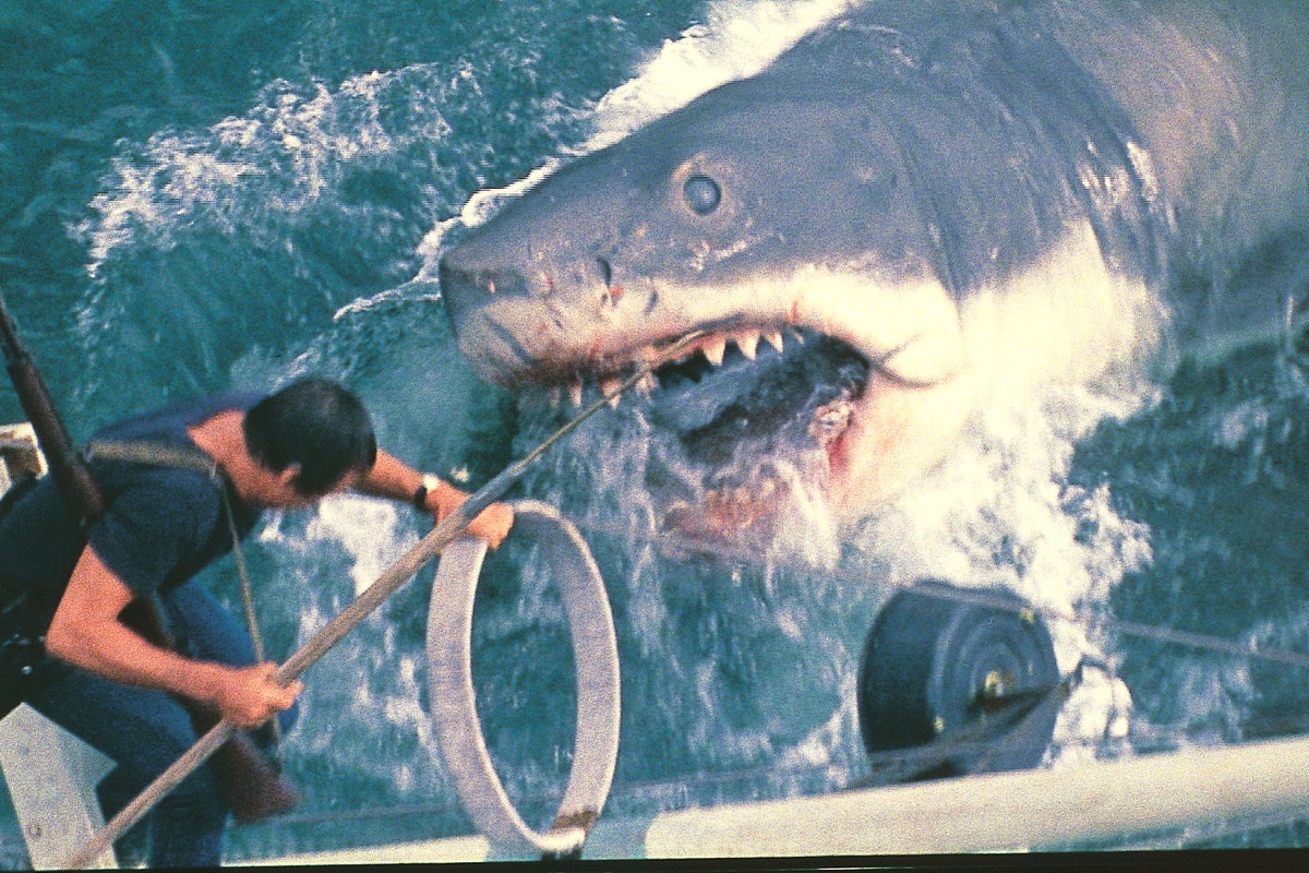 Jaws and effect: How Spielberg’s epic changed our relationship with ...
