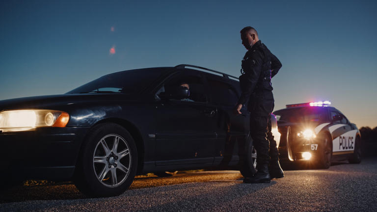 Citizen or not, if you get pulled over by law enforcement in Arizona ...