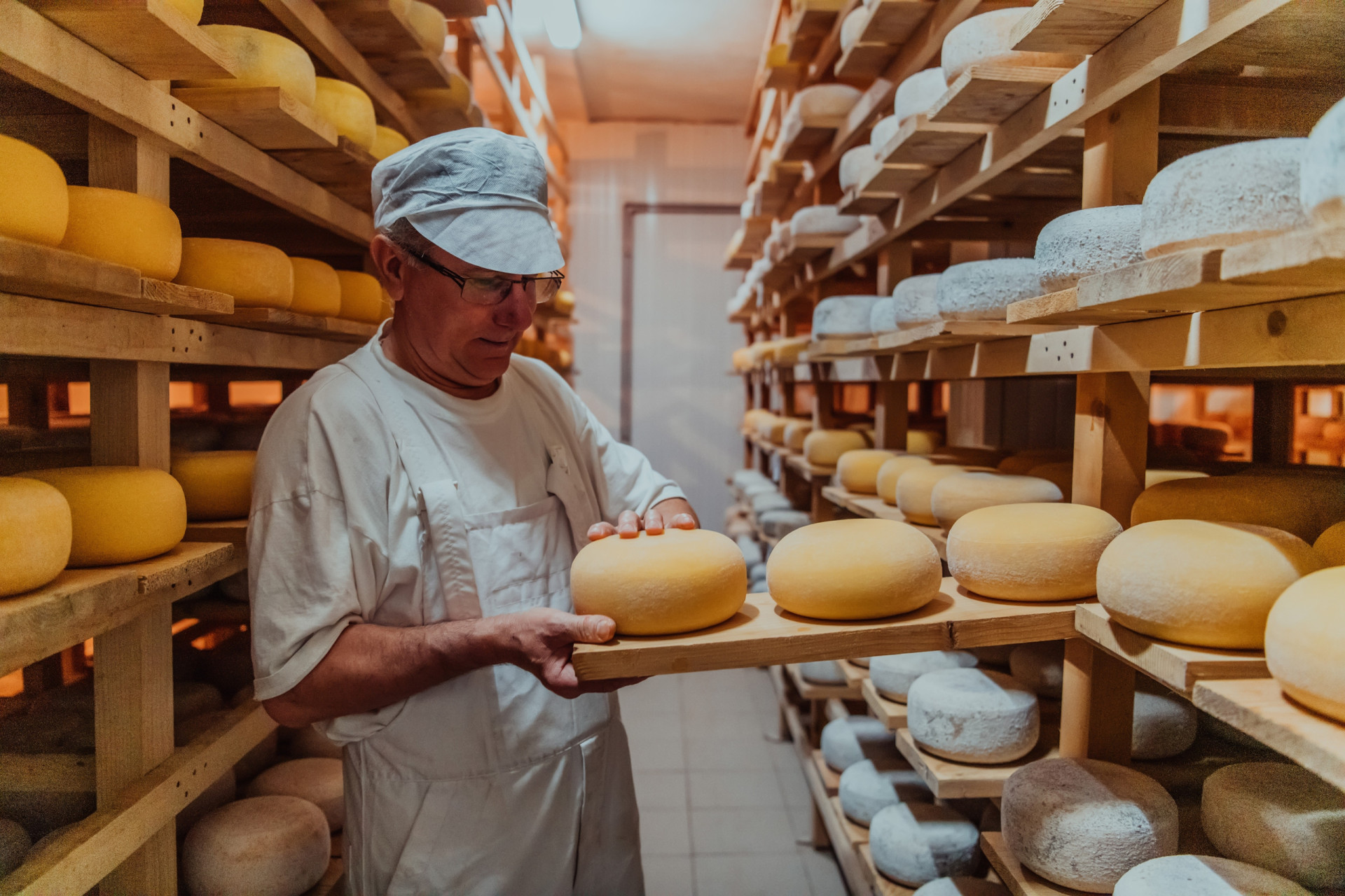 The delicious world of cheese-making