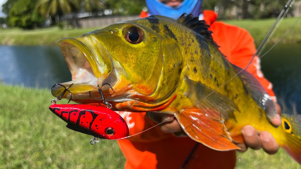Fishing on top of a massive pipe with Monster Mike!