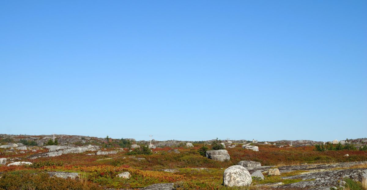 Ice Age Shelter Unveils 20,000-Year-Old Aboriginal Heritage