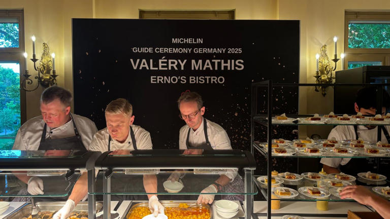 Satellite streaks: Can the huge new Vera Rubin Observatory function in ...