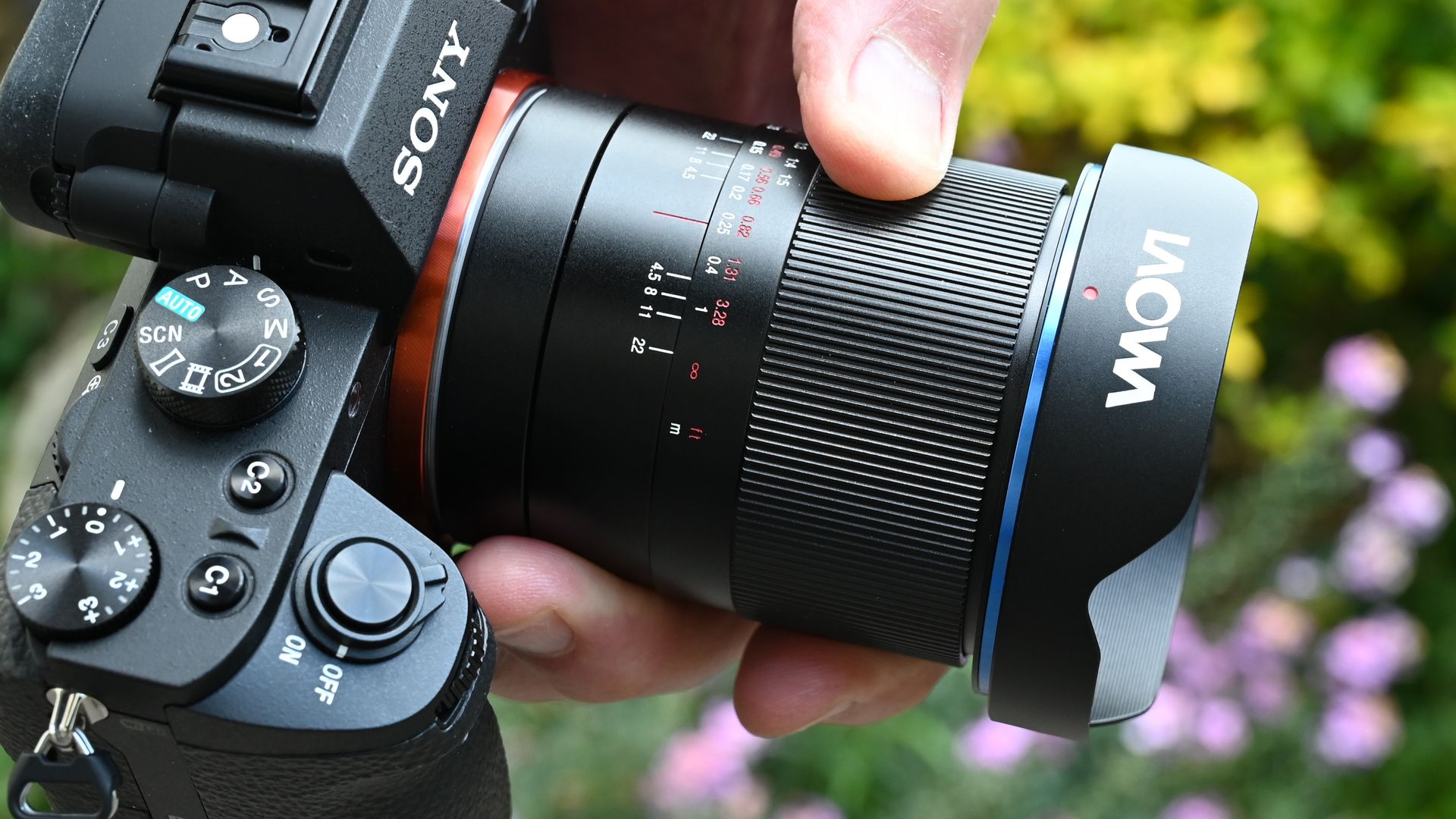 Venus Optics Laowa 15mm f/4.5 0.5x Macro review: get ultra-close and ...