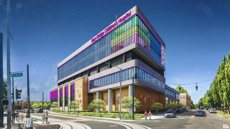 New $480M Mary Bridge Children's Hospital will have play area, ‘kitten ...