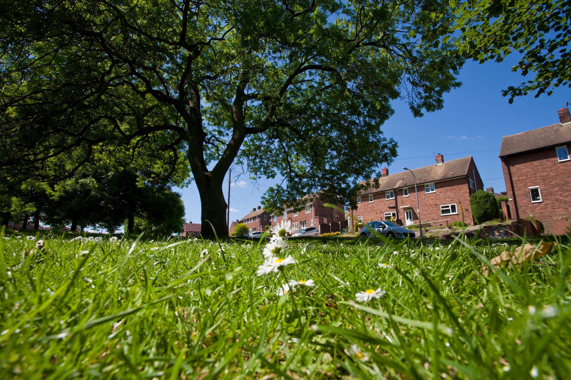 More nuisance properties closed down due to persistent anti-social ...