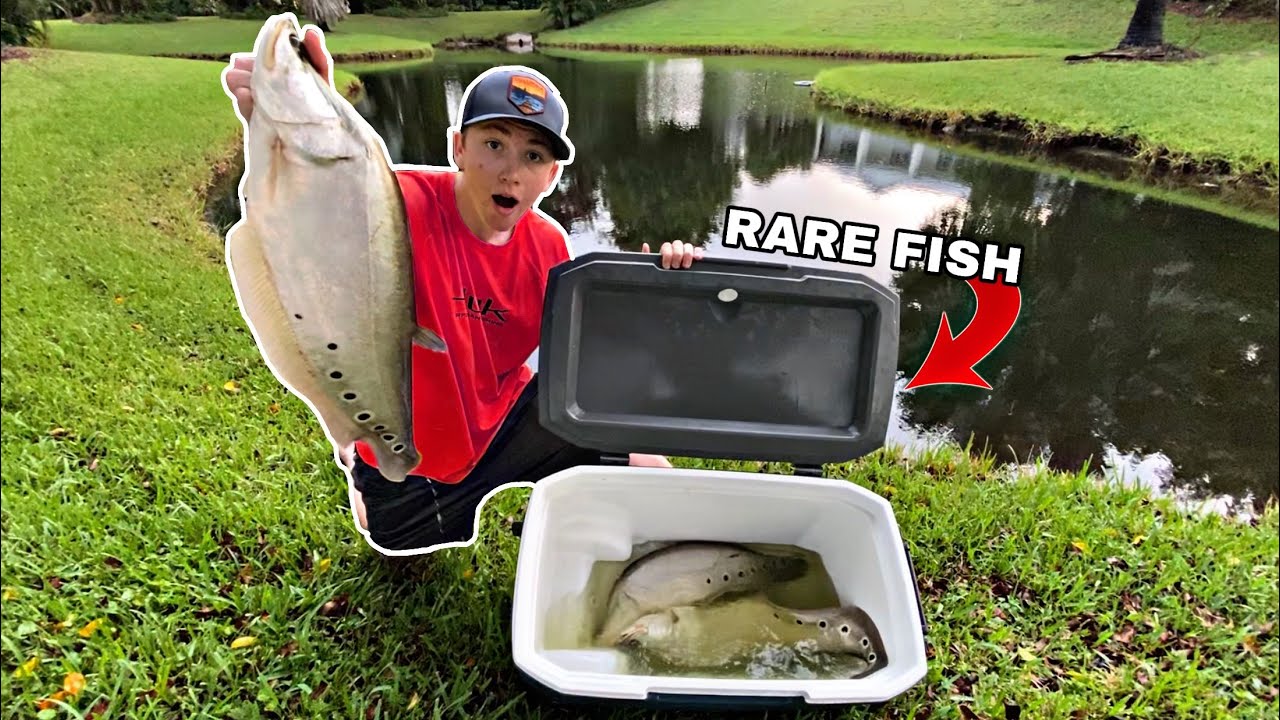 Extremely Rare Fish Caught for My Backyard Pond!!