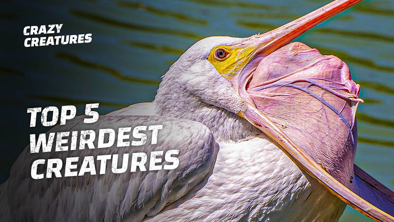 Earth’s Most Disgusting Animals Ranked