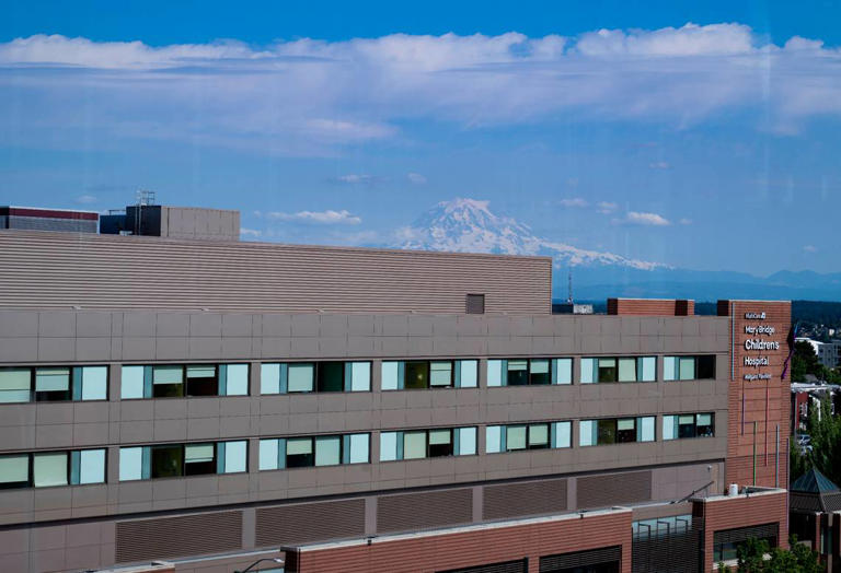 New $480M Mary Bridge Children's Hospital will have play area, ‘kitten ...