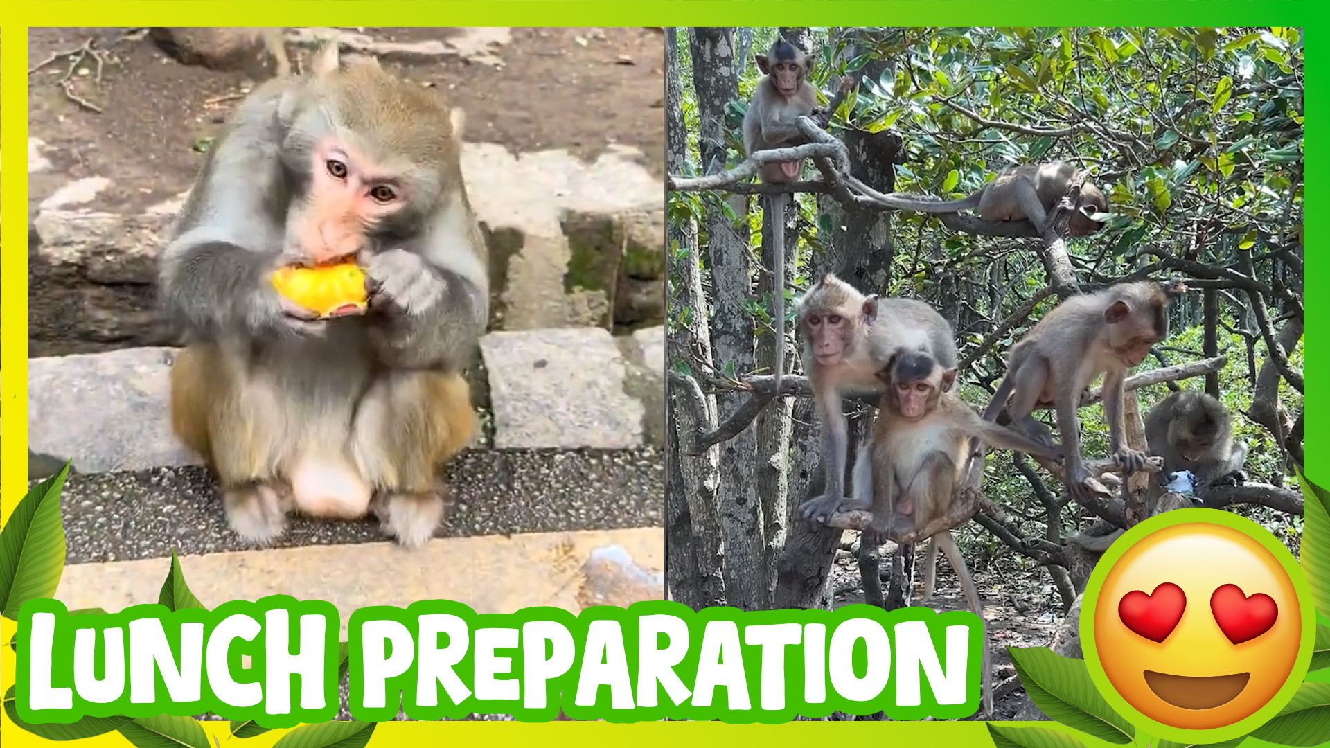 Monkey Lunch Preparation 🐵🥗 | Fresh Food, Happy Faces & Jungle Fun
