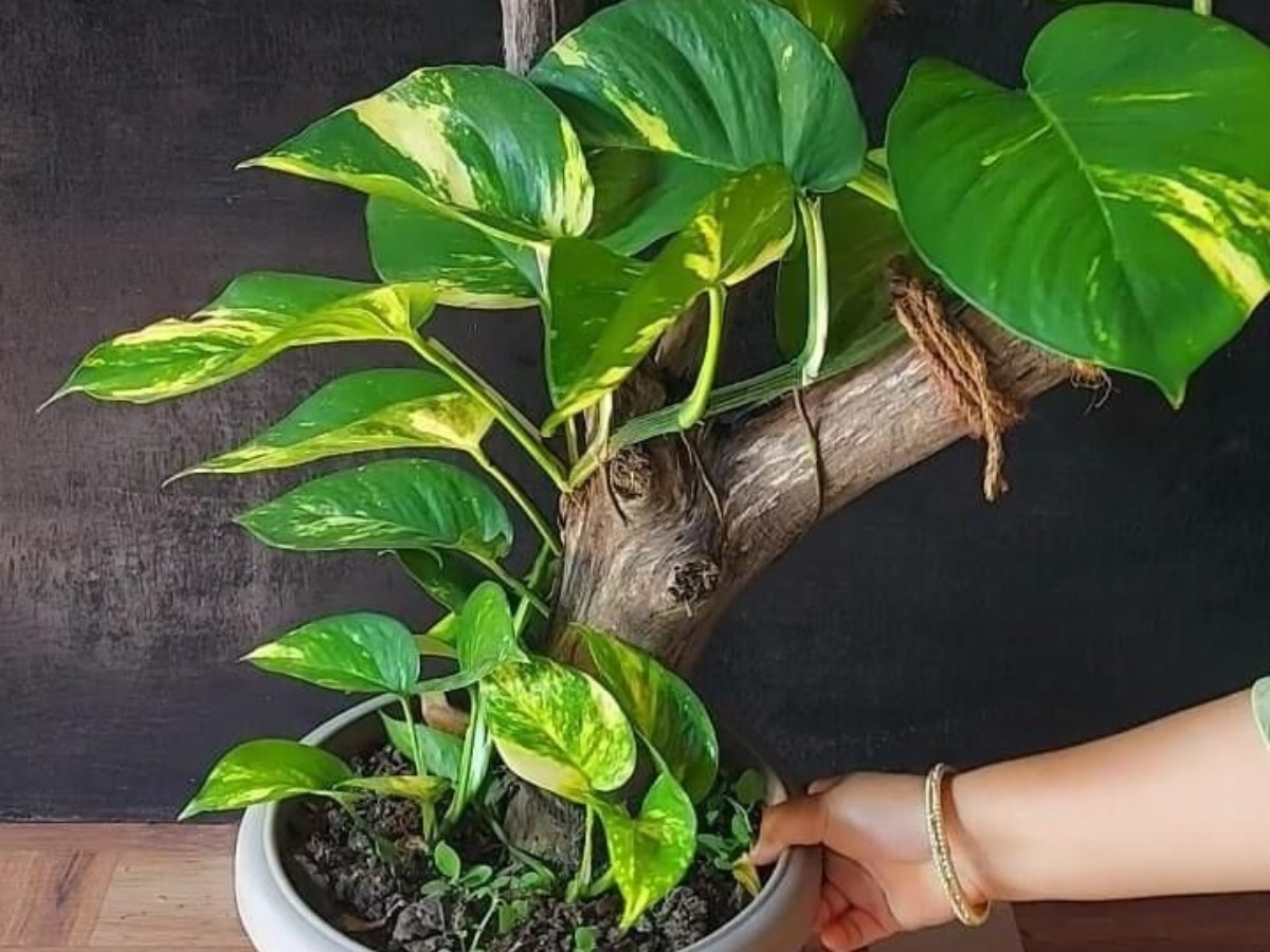 15 Of The Trashiest Finds To Lower Your Expectations Of Humanity