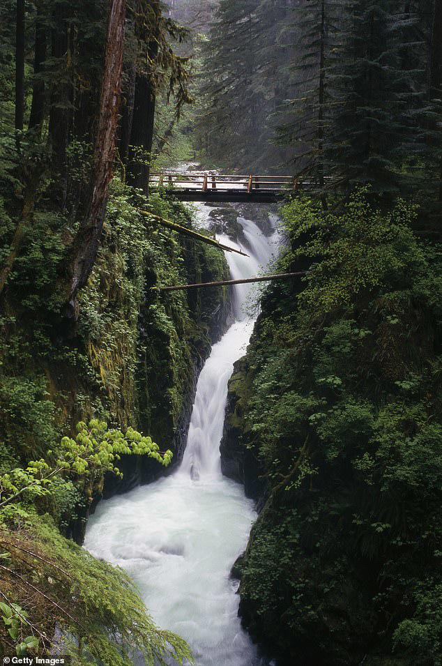 Boy, 18, plunges to his death off waterfall so powerful his body cannot be retrieved from underneath
