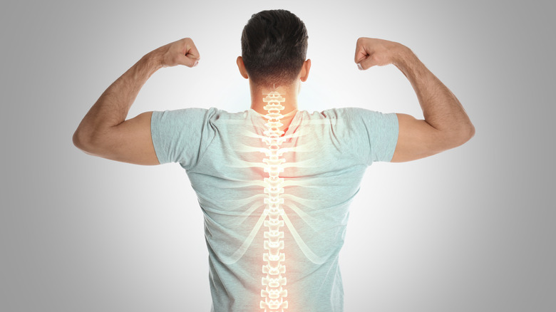 Back Pain Explained: Causes, Symptoms, And Treatments