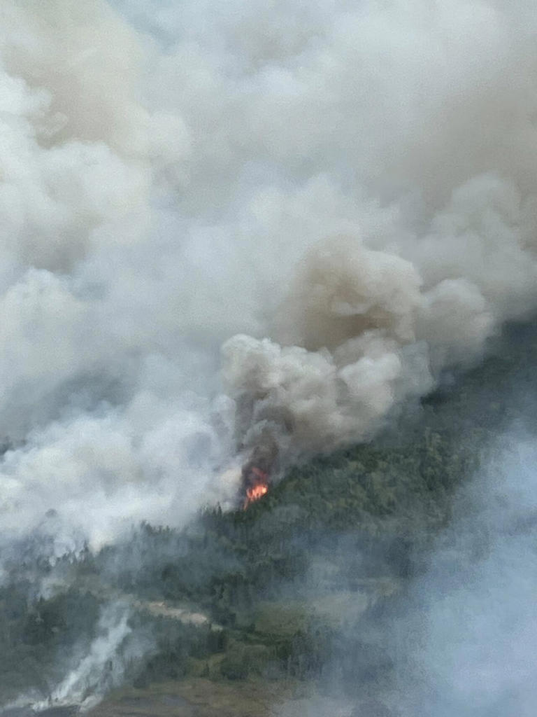 Evacuee says water bombers and rain a welcomed sight for fighting ...