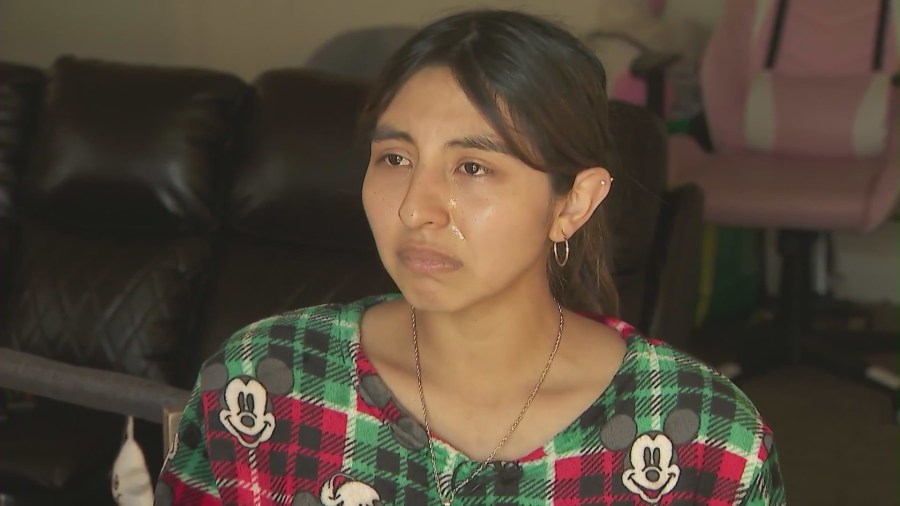 Pregnant U.S. citizen detained by border patrol agents: ‘We didn’t do ...