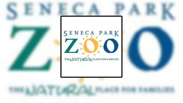 Seneca Park Zoo evacuated, closed for day after tree limb falls on ...