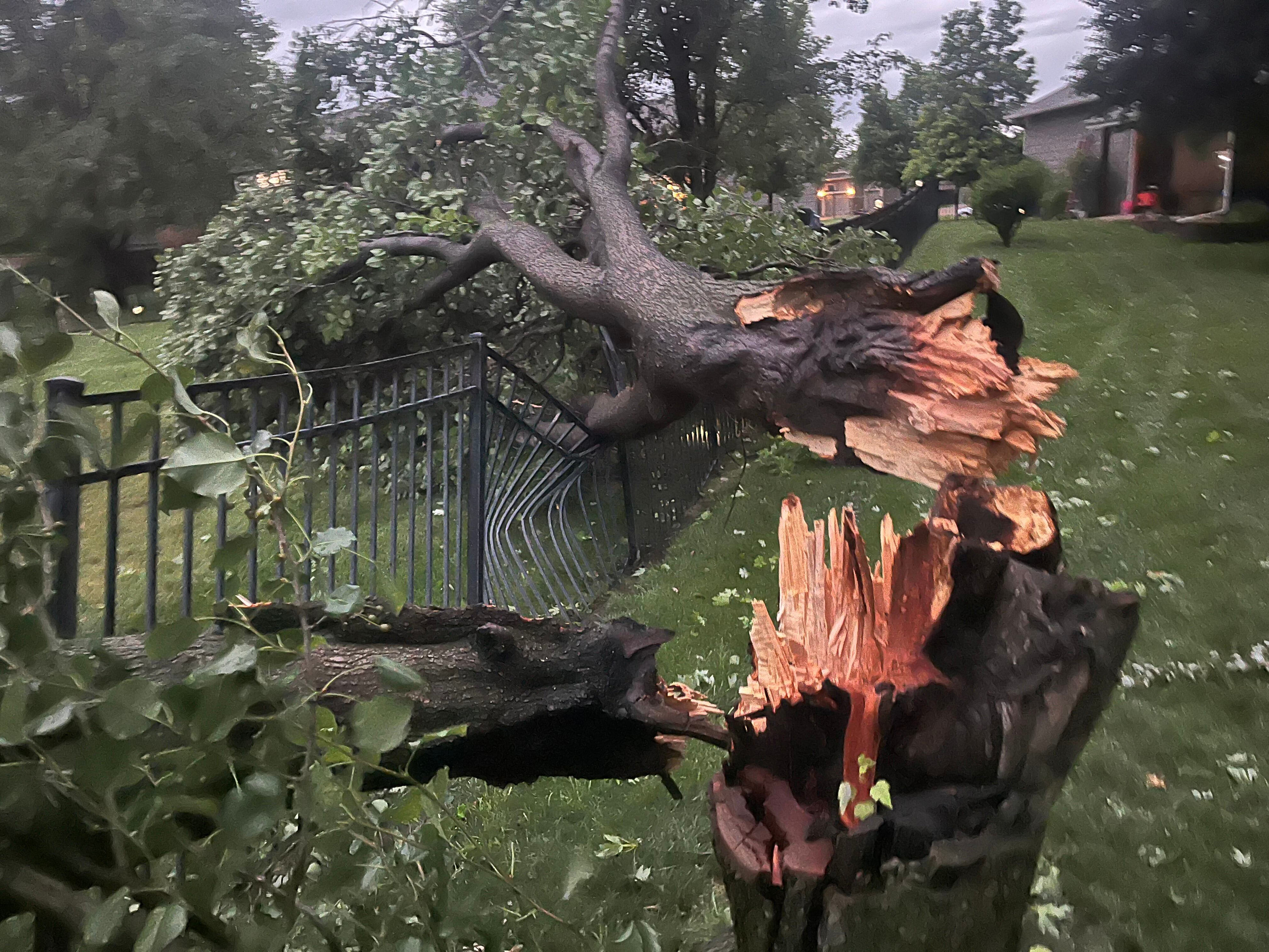 Tree debris removal continues across Wichita, no citywide pickup planned