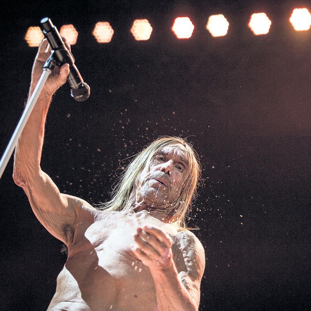 Der Letzte seiner Art: Iggy Pop und sechs weitere Konzerthighlights in Berlin und Potsdam