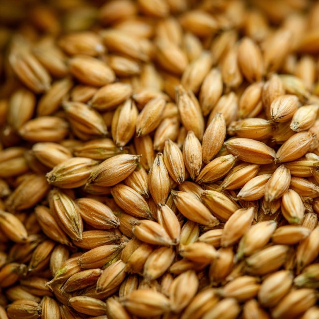 7 low-GI grains for a healthy alternative for Indian meals