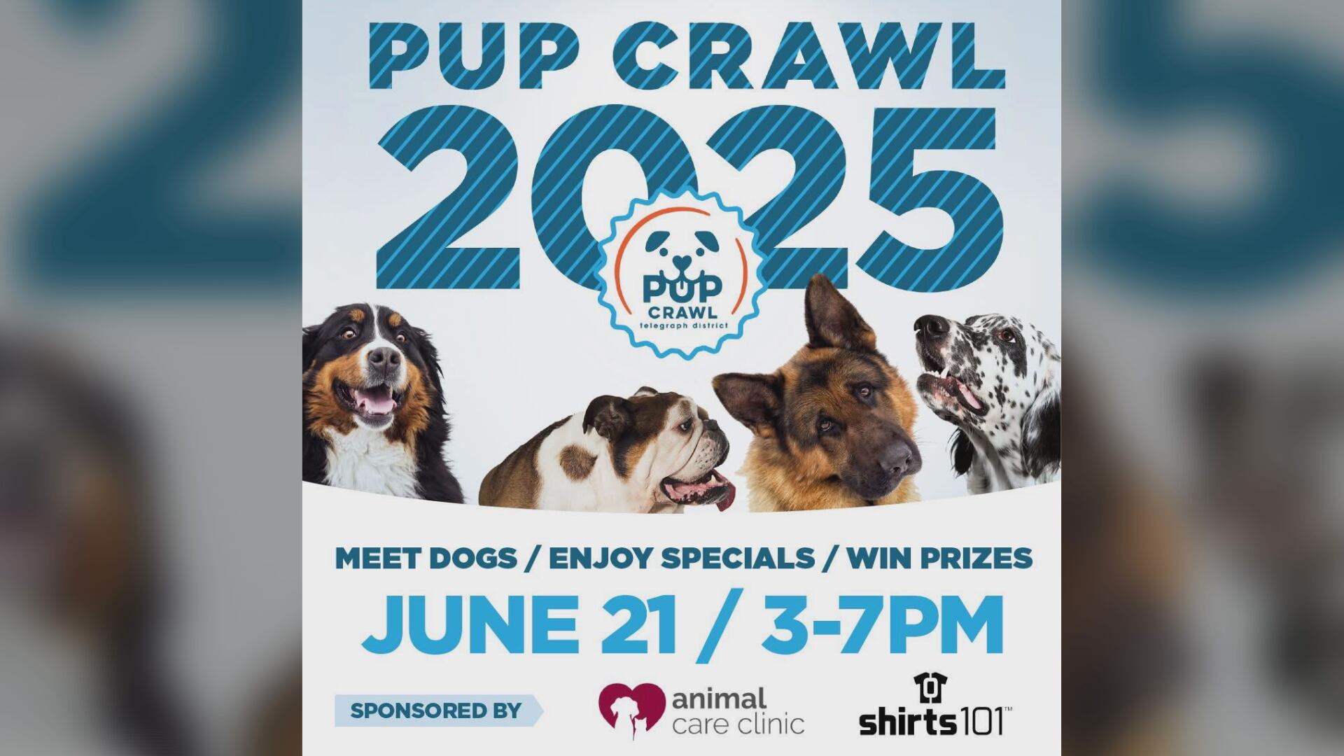 Meet your new best friend at Lincoln’s 3rd annual ‘Pup Crawl’