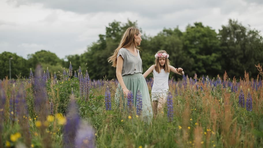 15 Facts About the Summer Solstice