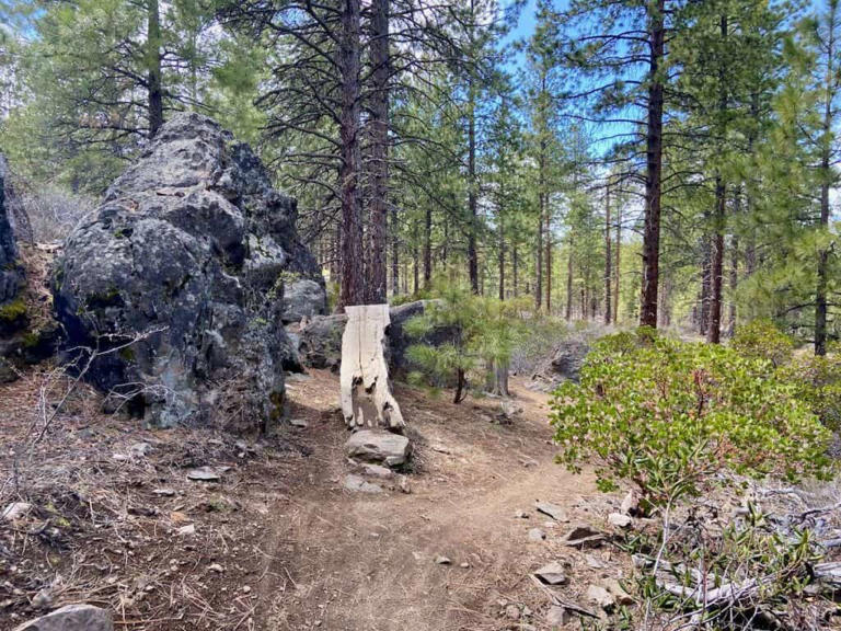 Mountain Biking in Bend, Oregon: Everything you need to know to plan ...