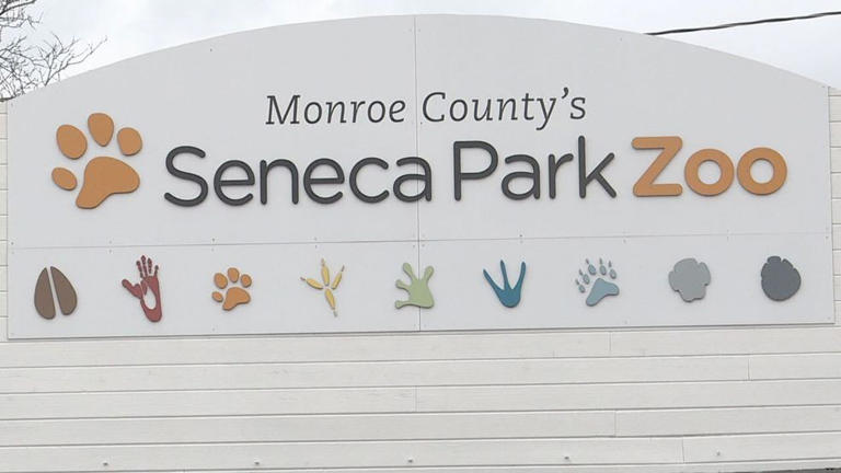Seneca Park Zoo visitors evacuated after tree limb falls on baboon habitat