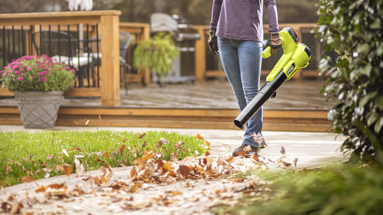Ryobi 18V Vs 40V Blower: Which Is Best For Your Yard?