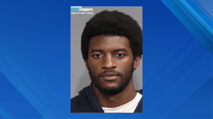 Man accused in police car arson allegedly posed as student protester: NYPD