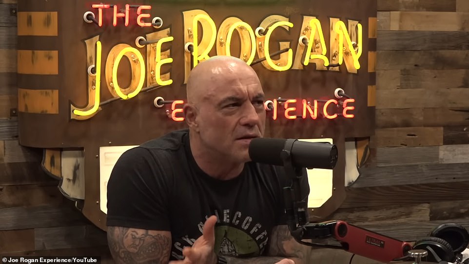 Joe Rogan slams Trump's ICE raids