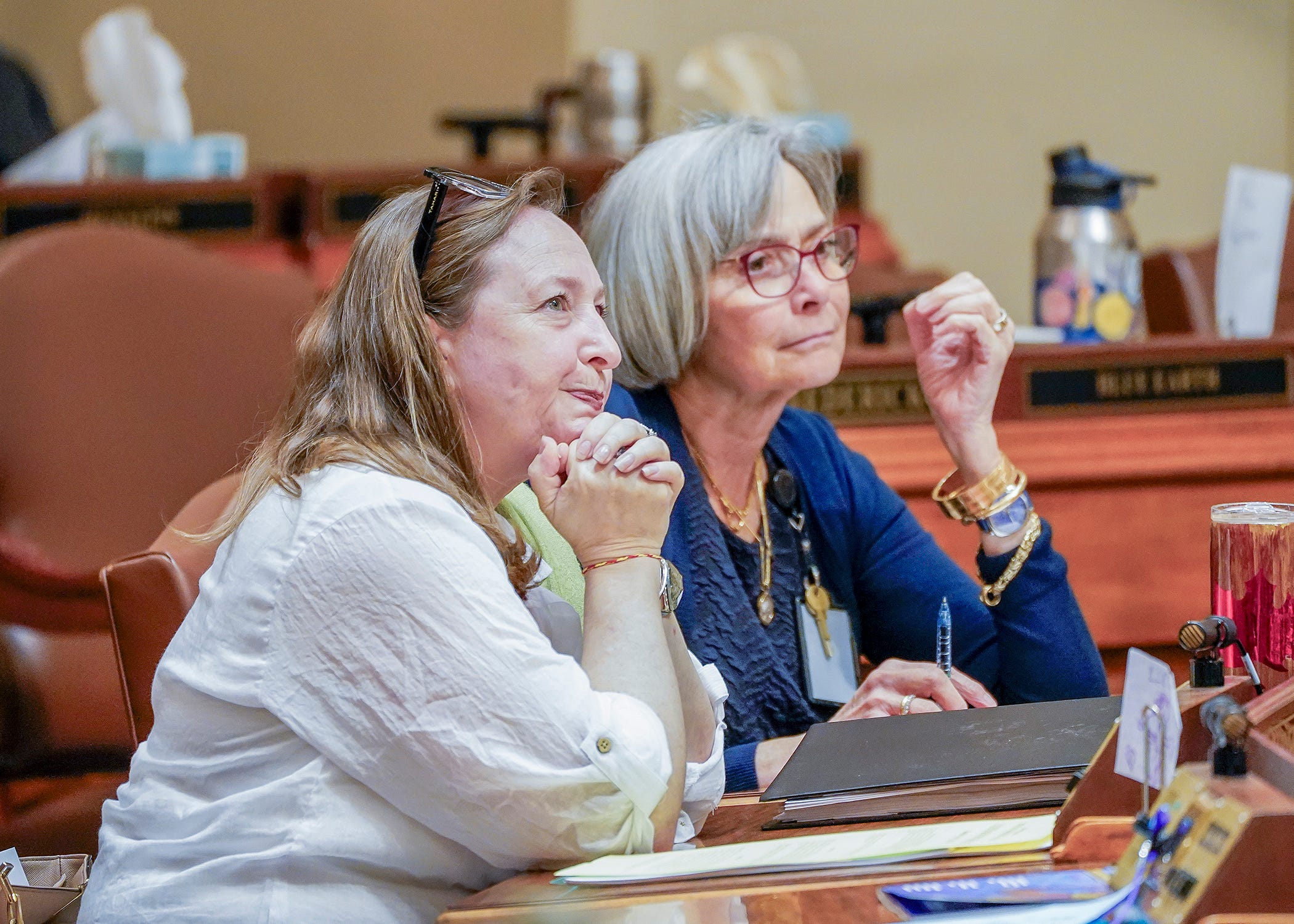 Maple Grove Rep. Kristen Bahner confirms she was also a target of ...