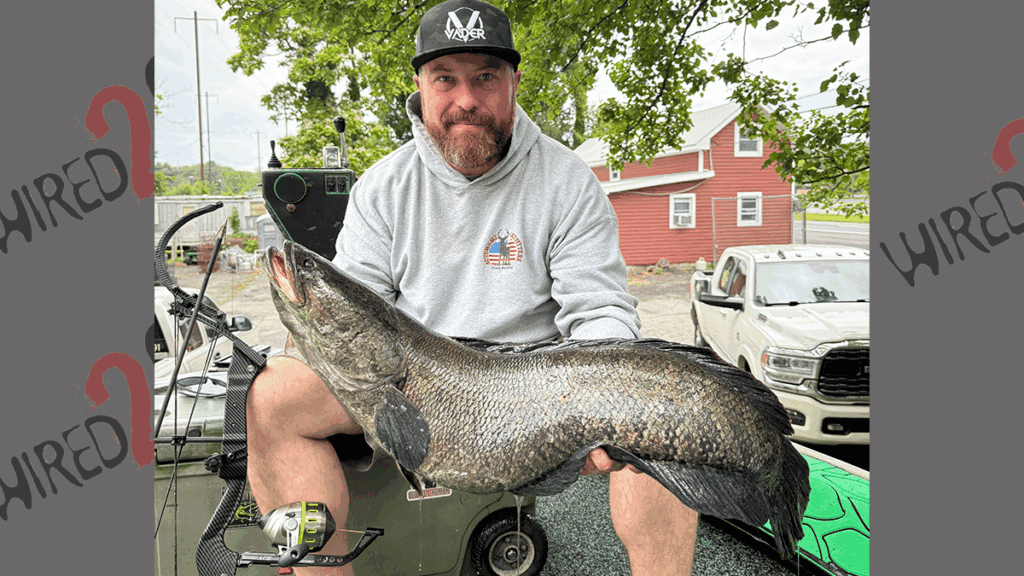 Record Snakehead Taken in Maryland