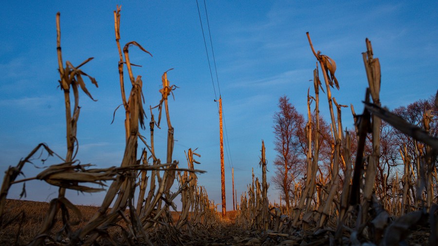Trump cuts to NOAA, NASA ‘blinding’ farmers to risks, scientists warn