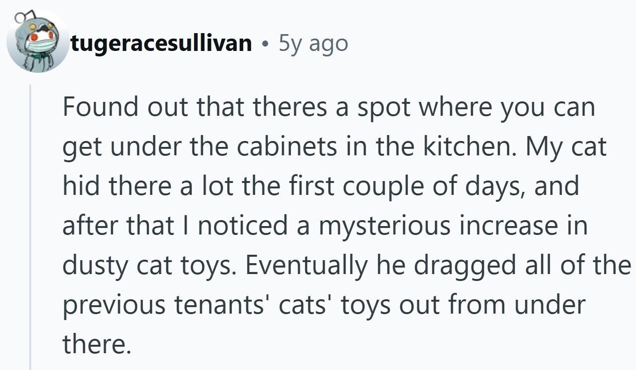 25 Wild Things People Discovered in Their Homes