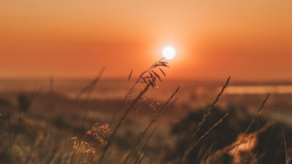 Summer Solstice 2025: When is it, what it means, and why it’s the ...