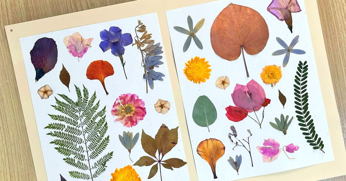 Textura de las hojas y colores de las plantas: guía completa con ...