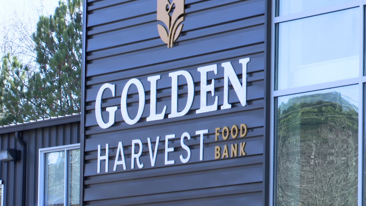 ‘Hands and hearts’: Golden Harvest needs your help in its fight against ...