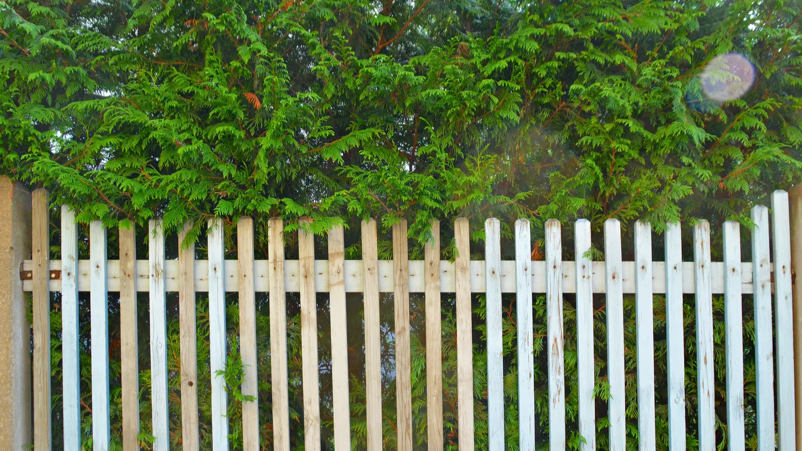 14 Simple Picket Fence Ideas to Boost Curb Appeal