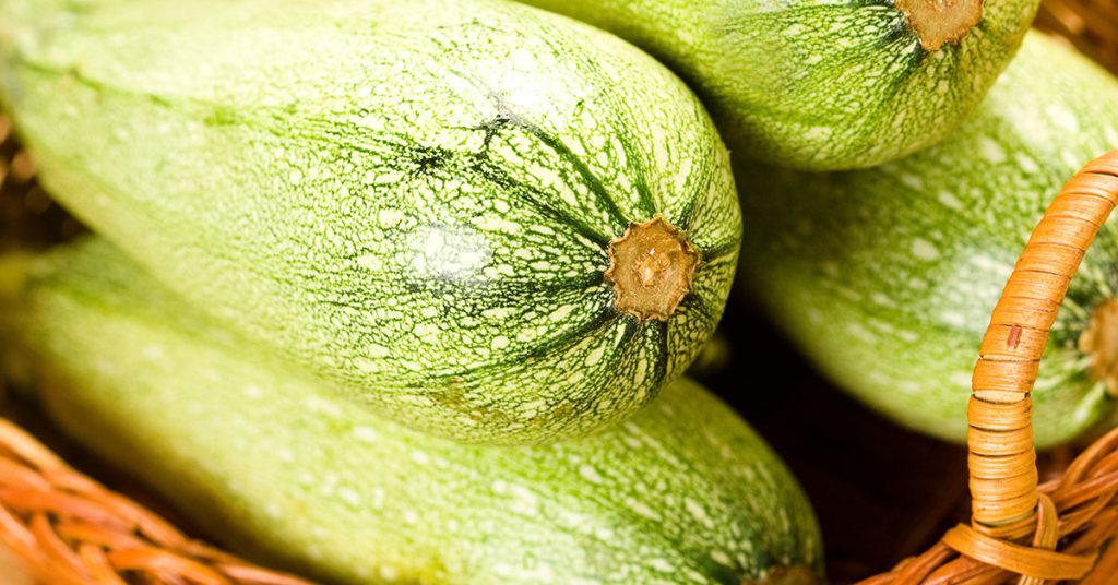 9 Signs That Your Zucchini Is Ready For Harvesting