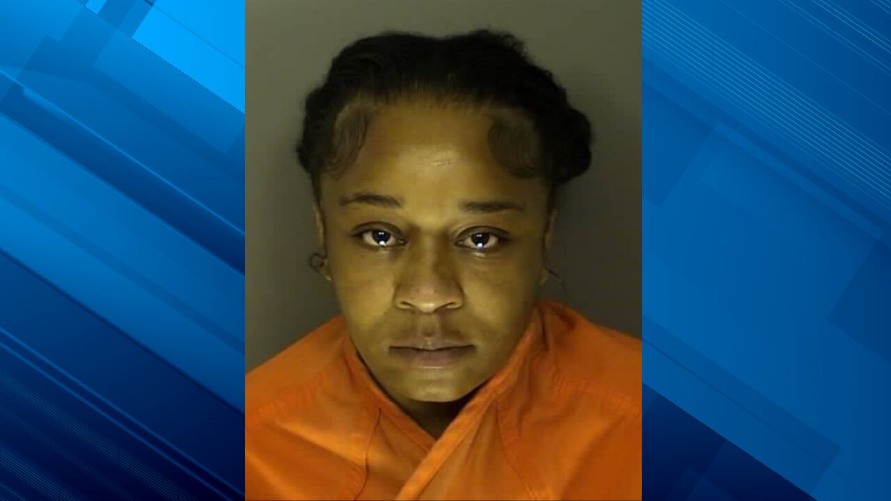 ‘Traumatic event’: Guardian charged with killing 11-year-old in Horry ...