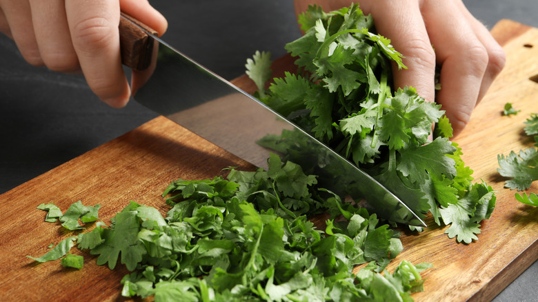 Keep Cilantro Fresh And Slime-Free For Months With A Simple Ice Cube Trick