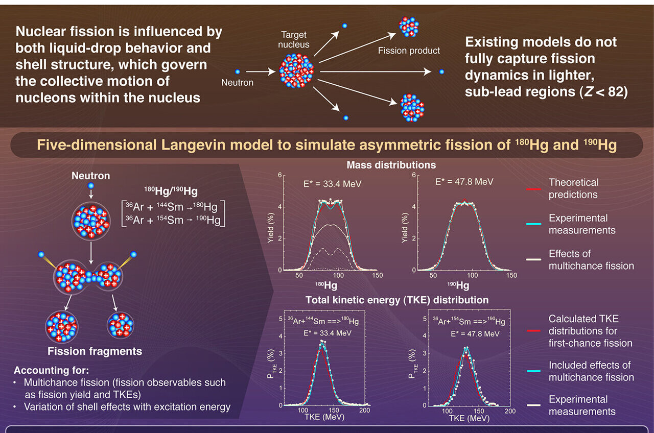 5D model accurately predicts nuclear fission in elements beyond uranium ...