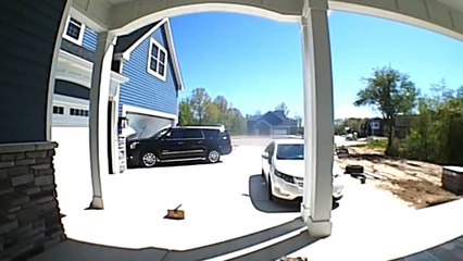 Crazy Car Crashes