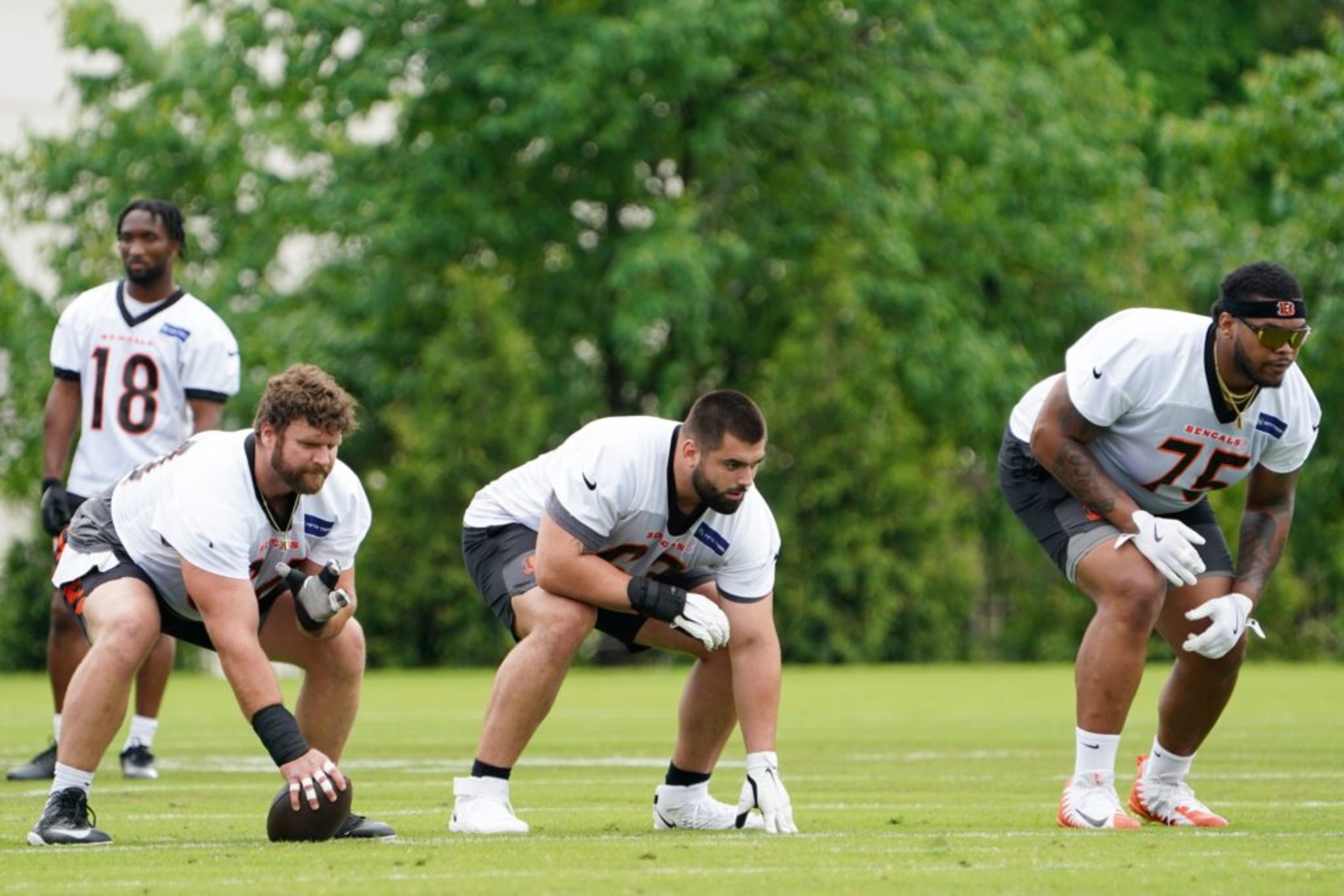 Revamped Offensive Line Is Poised to Protect Joe Burrow