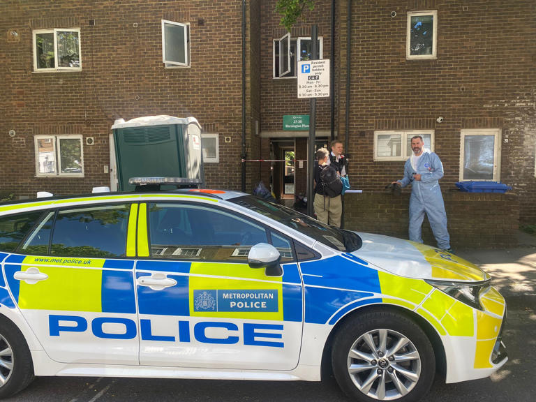 Woman, 66, arrested on suspicion of 'Rolex' murder of film director in ...