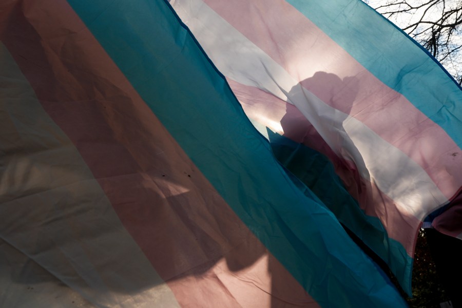 Full results from largest-ever survey of transgender Americans released