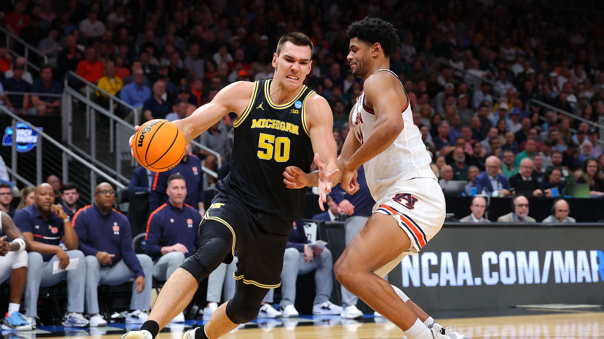 2025 NBA Draft Profile: Michigan Basketball C Vlad Goldin