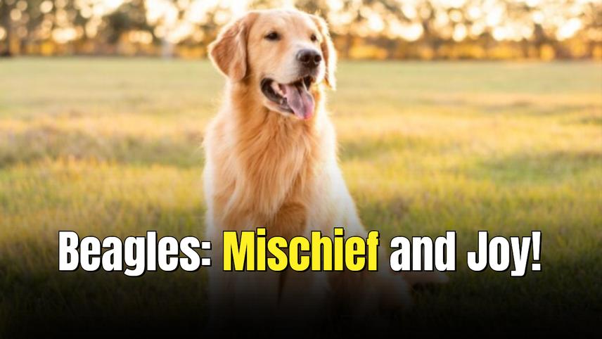 10 Best Dog Breeds for Kids and Families
